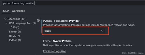 基于black的vs Code 自动python保存pep8格式vscode Python Black Csdn博客