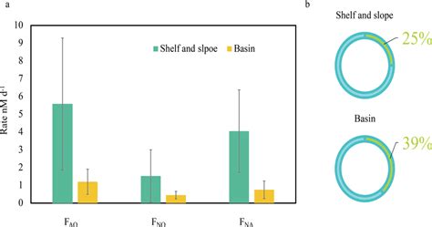 Spatial Variability Of Production And Consumption Of No2⁻ In The