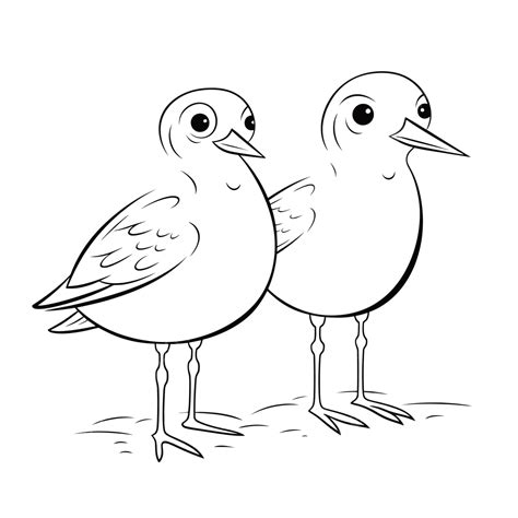 흰색 배경에 페이지를 색칠하는 두 만화 갈매기 개요 스케치 드로잉 벡터 갈매기 그리기 갈매기 개요 갈매기 스케치 Png 일러스트 및 벡터 에 대한 무료 다운로드
