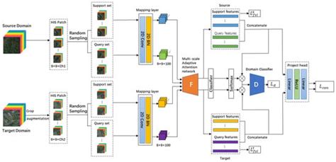 Domain Invariant Few Shot Contrastive Learning For Hyperspectral Image Classification