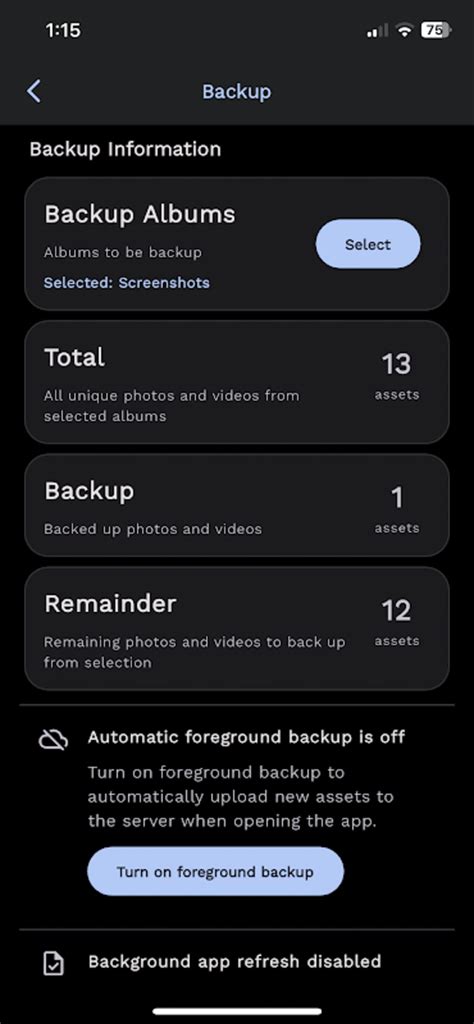 Immich For Android Download