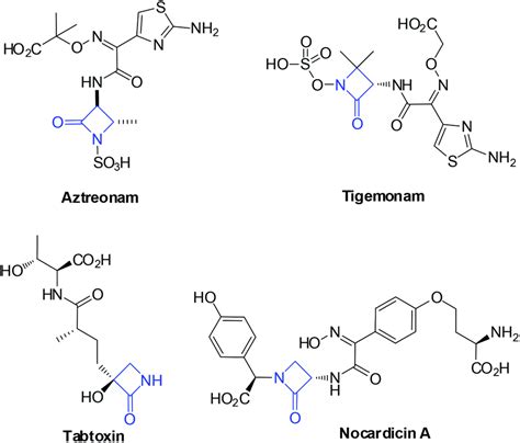 Beta Lactam Antibiotics Penicillin Cephalosporin Monobactam Carbapenems And Clavulanic Acid