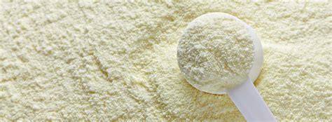 Caloris Whey Processing Expertise Caloris Engineering Llc