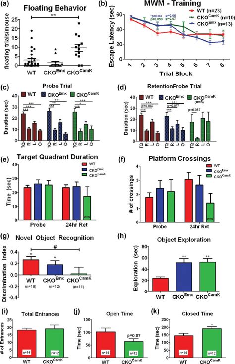 Fig Ure 3 Behavioral Assessment Of Spatial Memory Object Recognition