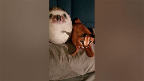 Это мои игрушки от блоп топ Youtube