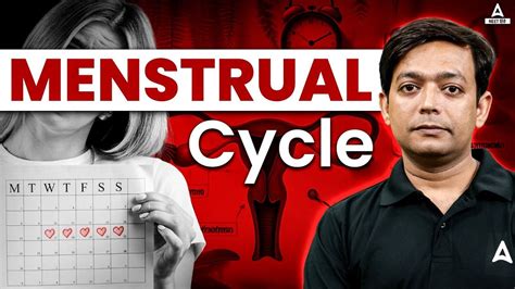 Menstrual Cycle Class 12 Female Reproductive System Peeyush Sir Youtube