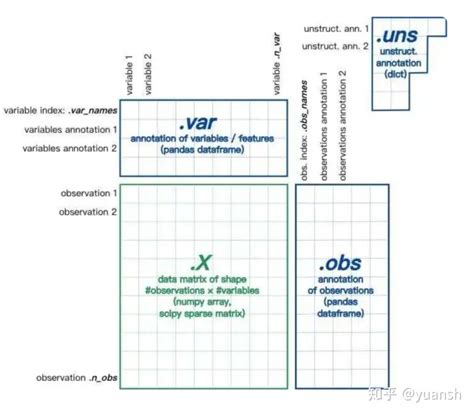 seurat提取表达矩阵 单细胞 SingleCellScanpy流程python 实现单细胞 Seurat 流程 CSDN博客