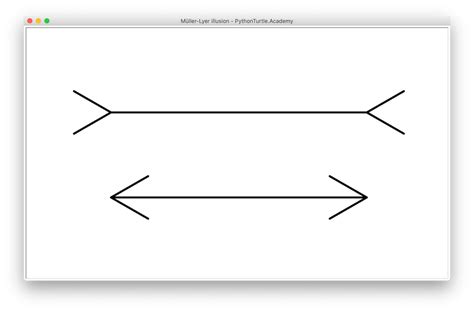 Müller Lyer Illusion with Python Turtle Python and Turtle