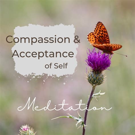 Self Love Meditations — Kristen Brown