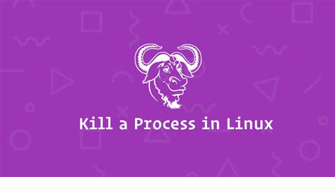 how to kill a process in linux linuxize