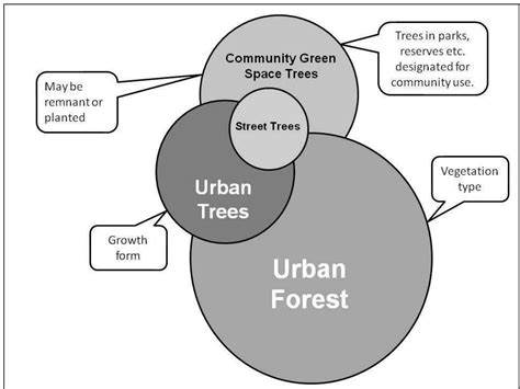 Figure 1 A Systematic Quantitative Review Of Urban Tree