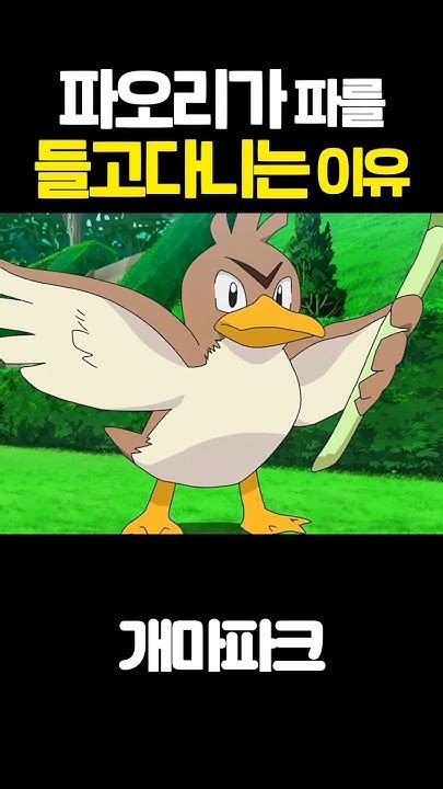 파오리가 파를 들고다니는 이유 Youtube