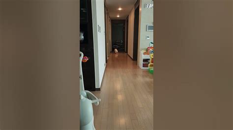 귀엽게 기어가는 우리 태율이 뒷태~♡ Youtube