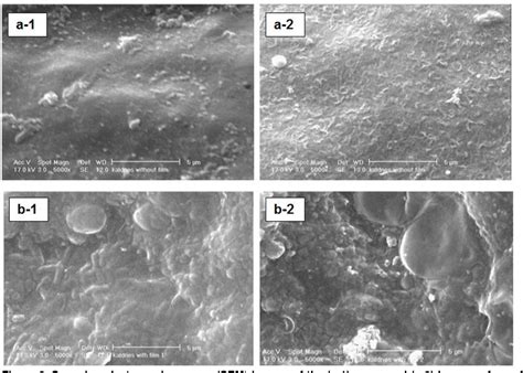 Figure 3 From Simultaneous Nitrification Denitrification In A