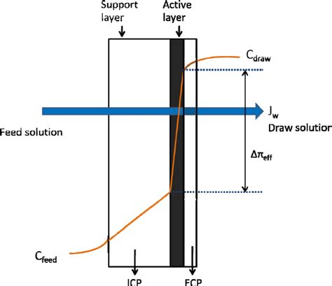 Illustration Of Both Internal Concentration Polarization Icp And Download Scientific Diagram