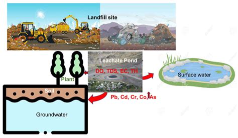 Landfill Pollution
