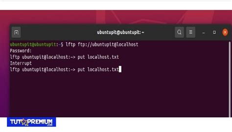 Cómo Instalar Lftp Para Descargar Y Subir Archivos En Linux Tuto Premium