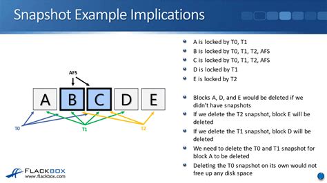 NetApp Snapshot Operation FlackBox
