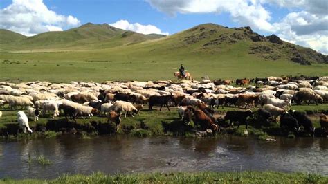 Монгол малчин Mongol Malchin Youtube