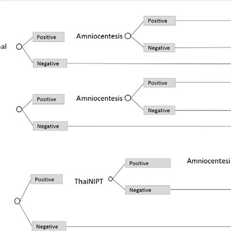 An Overall Decision Tree Of Conventional Tests Universal Thai Nipt And Download Scientific