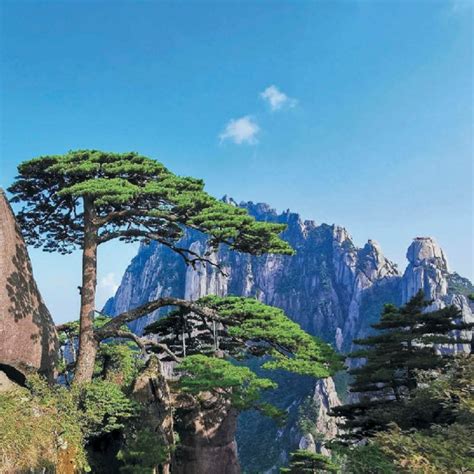 Integrated Helmet And Display Sighting System Ihadss Used By United Download Scientific