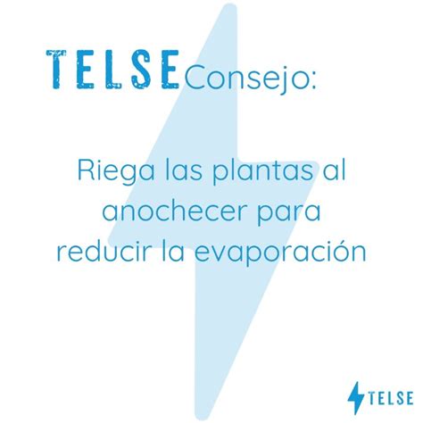 Telse Posted On Linkedin