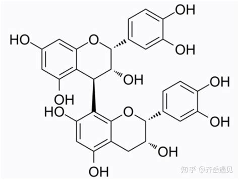 cas 29106 49 8 Procyanidin B2 原花青素 B2活性氧诱导剂 知乎