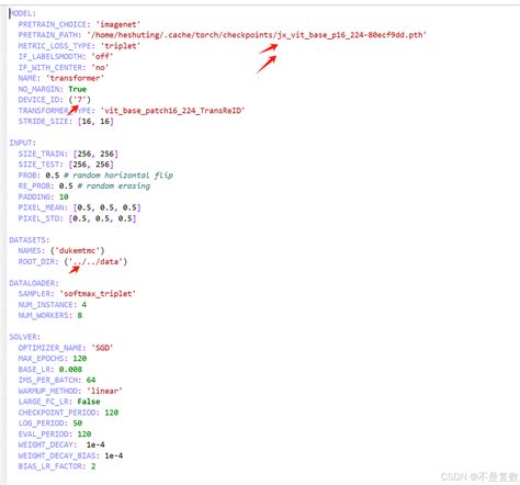 Transreid Transformer Based Object Re Identification阅读和代码实现 Csdn博客