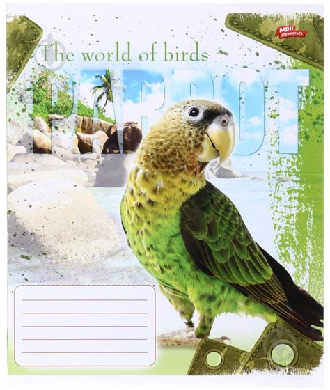 ᐉ Зошит шкільний уф лак 12 аркушів у лінійку в асортименті Мрії збуваються • Краща ціна в Києві