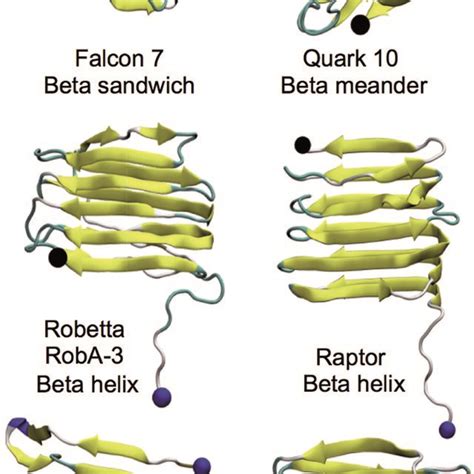 Representative Models From Each Server C And N Termini Are Labeled