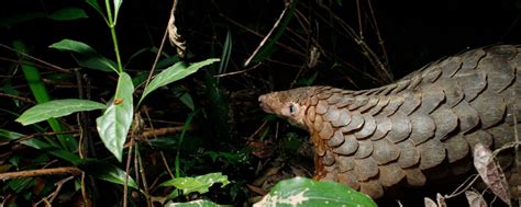 Understanding Quality Marks In Products And Services