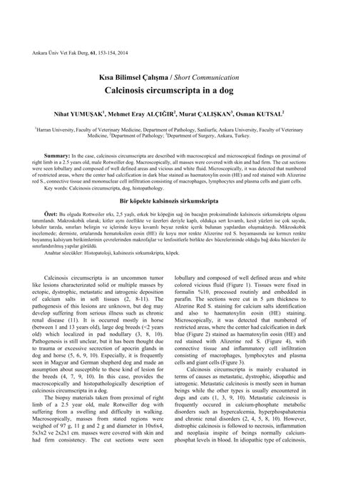 Pdf Calcinosis Circumscripta In A Dog