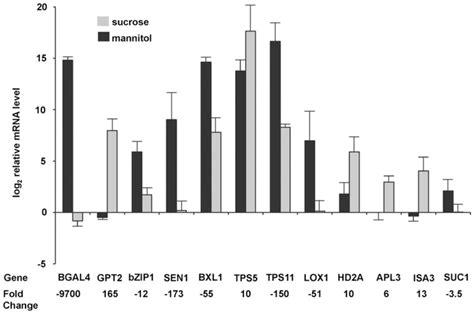 The Data Are Averaged Values For Four Biological Replicate Samples ±