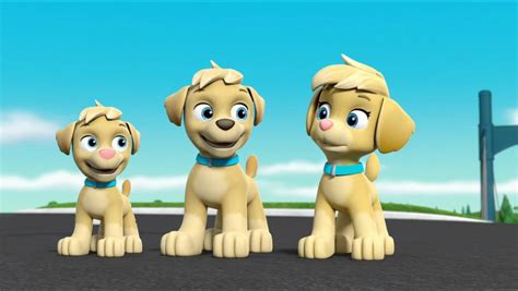 Paw Patrol Tuck Ella And Chompy By Jaythefox99 On Deviantart