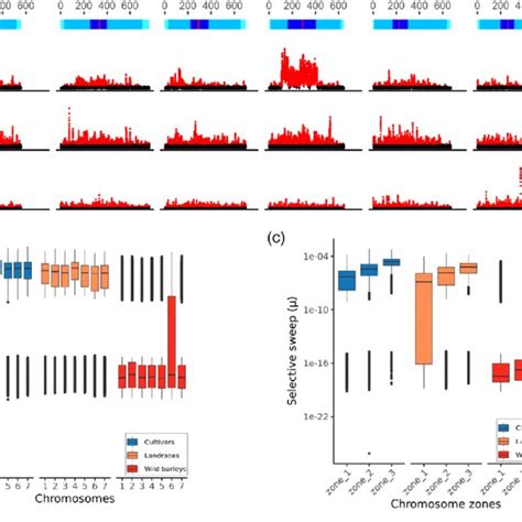Signatures Of Positive Selection In Barley Differentiated By Chromosome Download Scientific