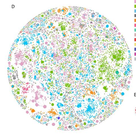 Taxonomy Classification Of The Dataset Of Oyster Virome Dov At The Download Scientific