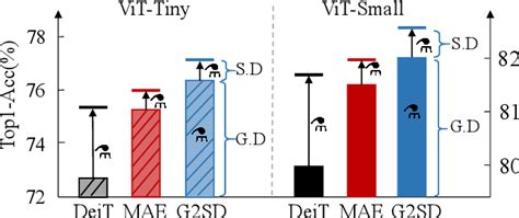 Generic To Specific Distillation Of Masked Autoencoders Paper And Code