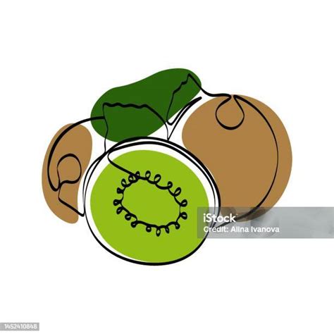 연속 한 선 그리기 키위 벡터 그림입니다 화려한 반점이 있는 흰색 배경에 검은색 라인 아트 흰색 배경에 격리된 만화 키위 비건 개념 0명에 대한 스톡 벡터 아트 및 기타