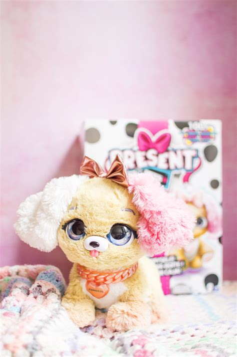 PRESENT PETS REVIEW - Keep Up With The Jones Family