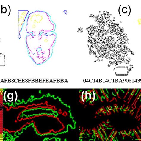 1 Advantages And Disadvantages Of Visibility Culling Methods