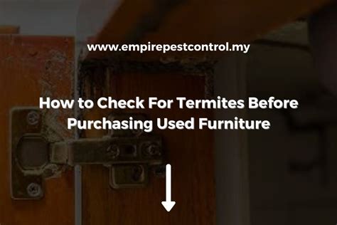 How To Check For Termites Before Purchasing Used Furniture