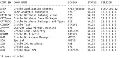Remove And Clean Up Components From Oracle Database 112 122