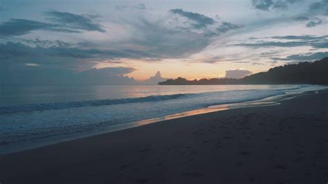 Beachspyhd Videos Download The Best Free 4k Stock Video Footage