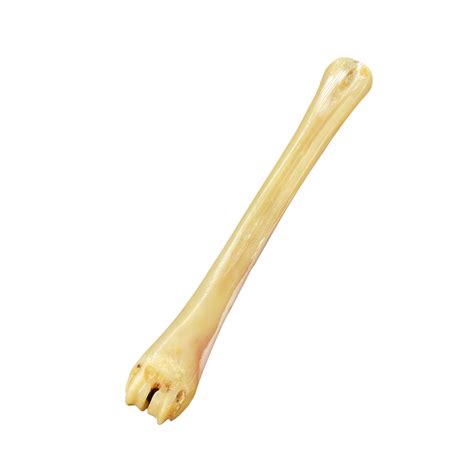 Em® Shoebone Edmeier Muenchen