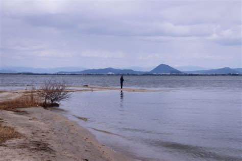 釣り GANREF