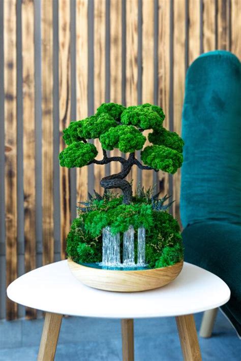 ᐉ Бонсай в Києві купити в Епіцентр К • Ціна в Україні