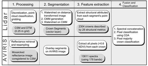 Workflow Diagram For Data Preprocessing Crown Delineation