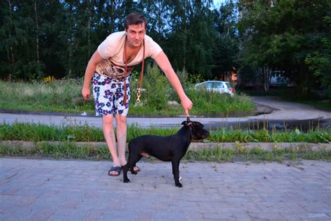 Мой пацан — Drive2