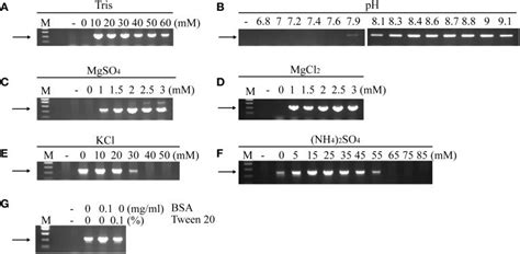 Effect Of Buffer Concentration PH Salts Ions BSA And Tween 20 On