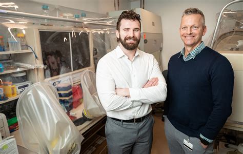 C Diff Uses Toxic Compound To Fuel Growth Advantage Vumc News